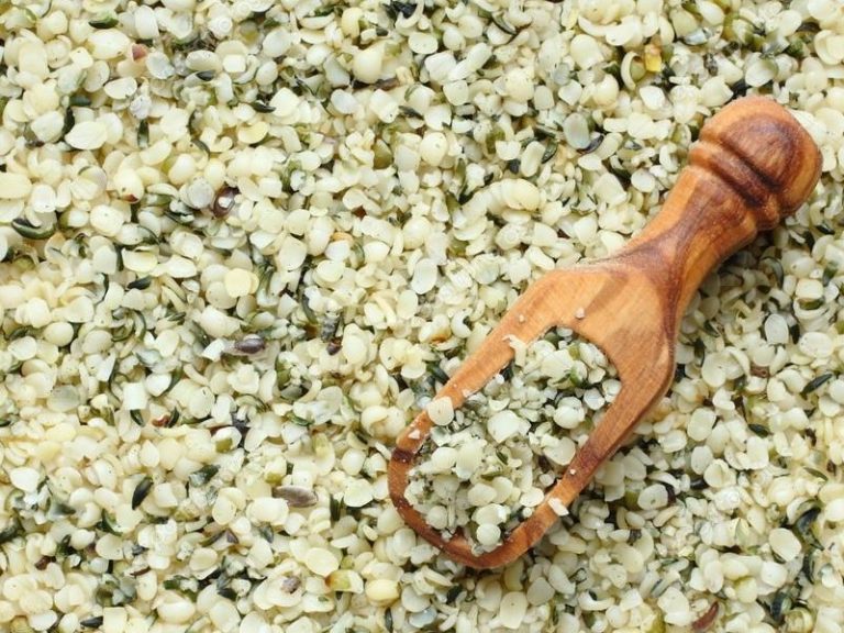 Tisočletna rastlina s številnimi uporabami - Svetovalec.si